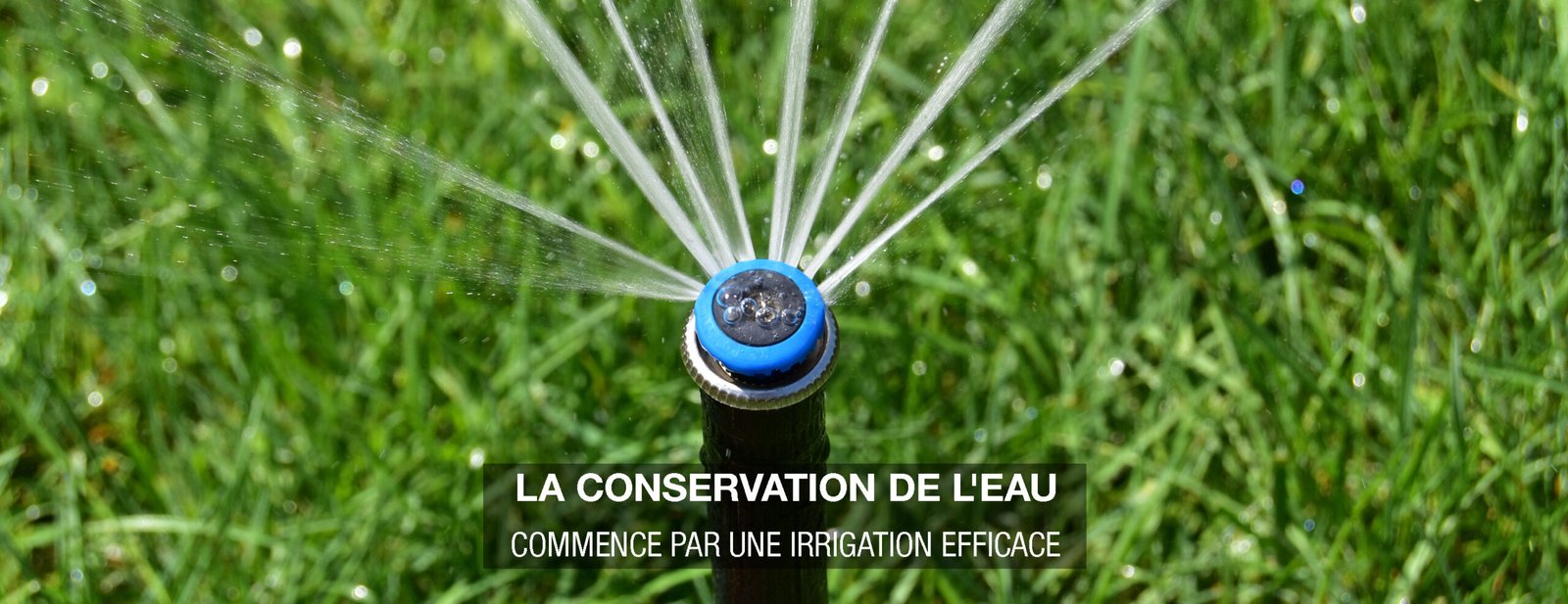 WATER CONSERVATION STARTS WITH EFFICIENT IRRIGATION | VAQUAM
