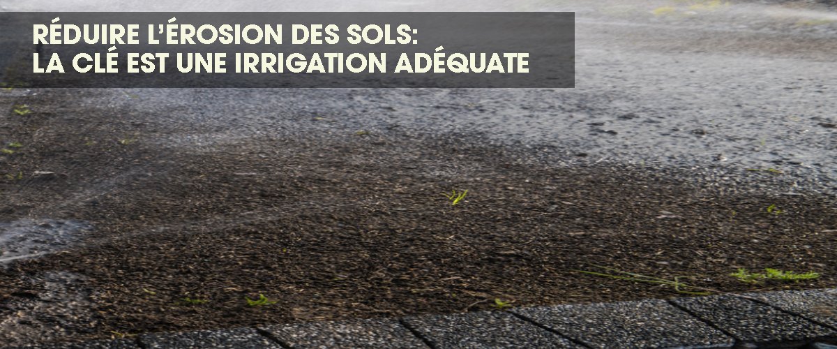 Preventing Soil Erosion Caused by Overwatering